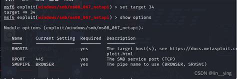 Metasploit渗透测试框架及使用方法 小白笔记请简述metasploit框架的功能和工作方式 Csdn博客