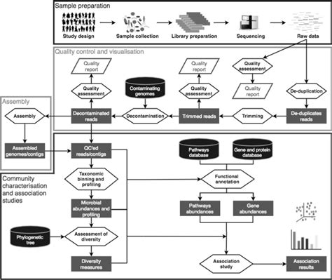 Metagenomics Analysis Pipeline Hexagons Represent The Analysis Steps Download Scientific