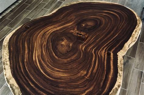 Árbol De Parota Características Cuidados Y Usos Tradicionales