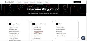 How To Handle Multiple Windows In Selenium Python LambdaTest