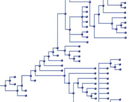 ToL Information Architecture Nodes Trees