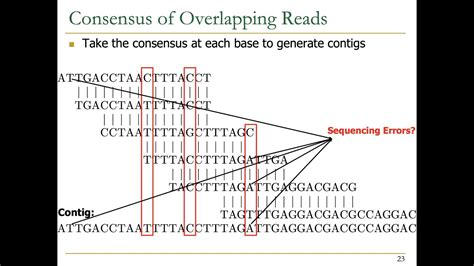 pands mobile and accelerating genomics lecture 5 genome assembly