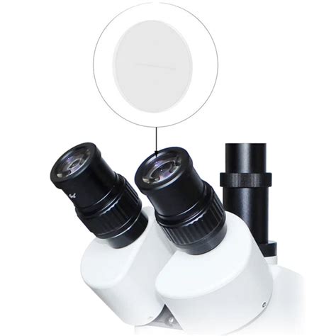 Microscope Ocular Lenses Eyepiece Calibration Stage Micrometer £12 58 Picclick Uk