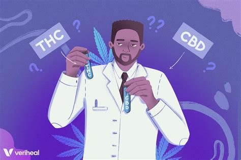 The Ultimate Guide To Understanding Thc And Cbd Ratioscannabis Central