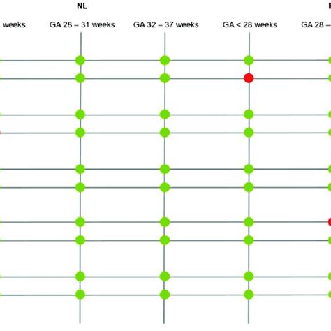 Completion Of The Selection Matrix Download Scientific Diagram