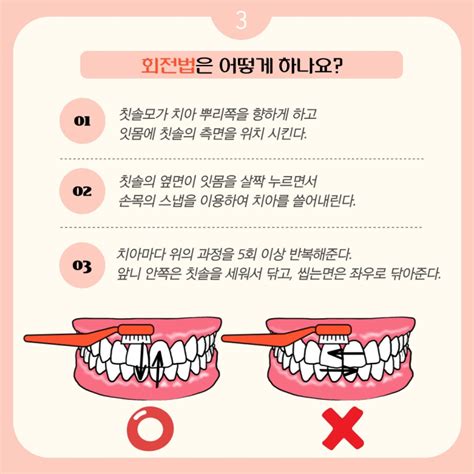 [충치예방사업] 올바른 칫솔질 방법 회전법 네이버 블로그