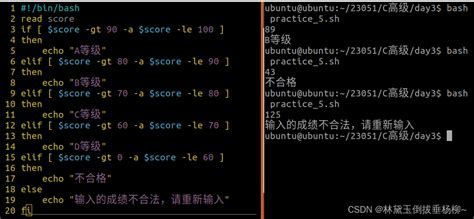 c高级 day3 shell中的输入、命令置换符、数组、算数运算、分支结构 c shell 键盘输入 csdn博客