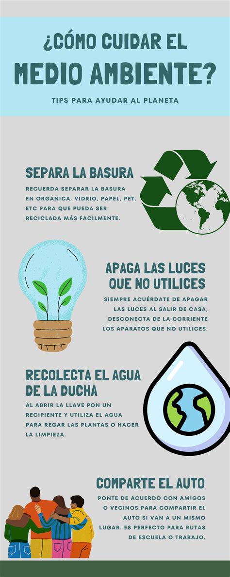 Infografia Sobre Cuidar El Medio Ambiente