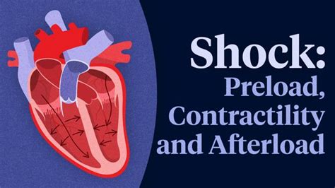 Preload Contractility And Afterload Ausmed Lectures