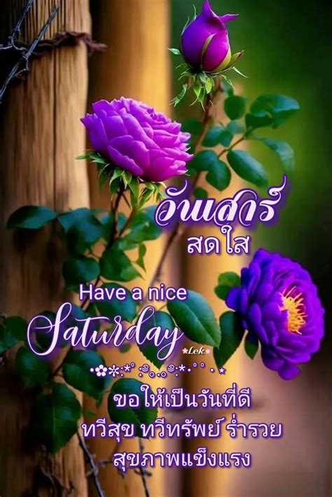 วันเสาร์สดใส 💜 Have A Nice Saturday ในปี 2023 สุขสันต์วันอาทิตย์ ดอกไม้สีม่วง การถ่ายภาพดอกไม้