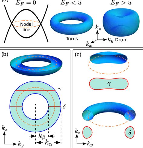 A The Nodal Line Torus And Drum Fermi Surfaces For A Generic Model Download Scientific