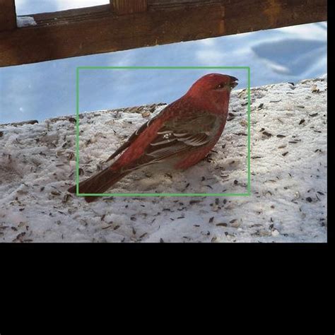 tutorial spec error message type regularizerconfig has no field