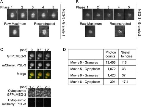 Figures And Data In Regulation Of Rna Granule Dynamics By Phosphorylation Of Serine Rich
