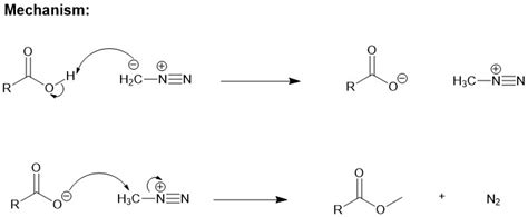 Esterification Reaction My Chemistry Blog