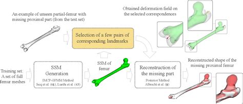 Bone Surface Reconstruction And Clinical Features Estimation From Sparse Landmarks And