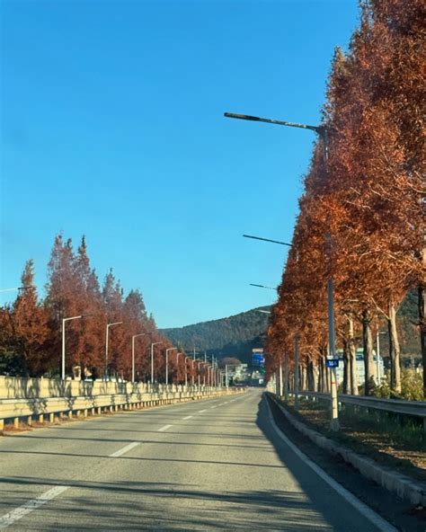 드라이브 나왔다가 그냥 들어간 곳이 이 동네커피 맛집 로스팅 직접하시고 블렌딩도 맛나고 요런 곳 발견하면 기분이가 좋당