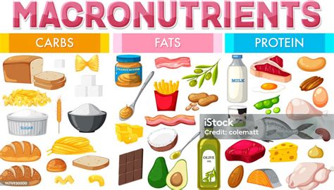 Macronutrients Diagram With Food Ingredients Stock Illustration