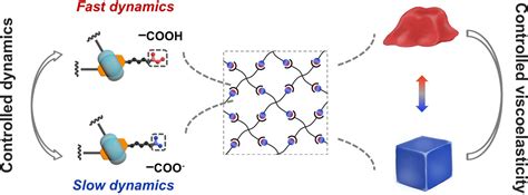 Control Viscoelasticity Of Polymer Networks With Crosslinks Of Superposed Fast And Slow Dynamics