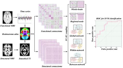 aberrant multimodal connectivity pattern involved in default mode network and limbic network in
