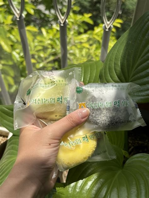 익산농협 생크림찹쌀떡 오프라인 더현대서울 5월 팝업스토어 내돈내산 후기 네이버 블로그 익산농협 생크림찹쌀떡 오프라인 더현대서울 5월 팝업스토어 내돈내산 후기 네이버 블로그