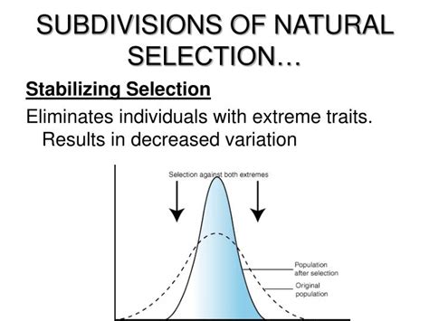 Ppt Microevolution Vs Macroevolution Powerpoint Presentation Id