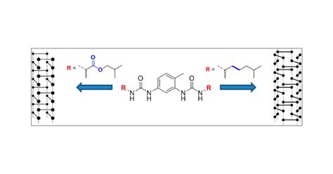 Structural Control Of Bisurea Based Supramolecular Polymers Influence Of An Ester Moiety Langmuir