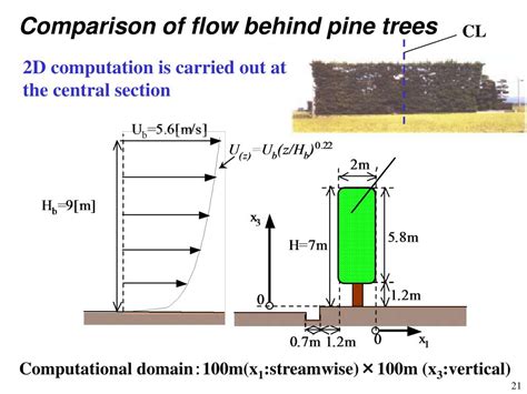 Ppt Optimization Of Tree Canopy Model For Cfd Application To Local
