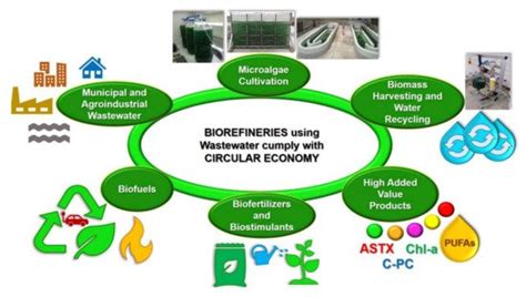 Microalgae Based Biorefineries Challenges And Future Trends