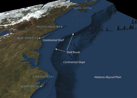 Continental Shelf Real Life At Brett Ramires Blog