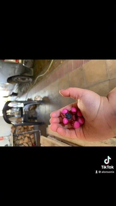 Niño Con Plasticina Youtube