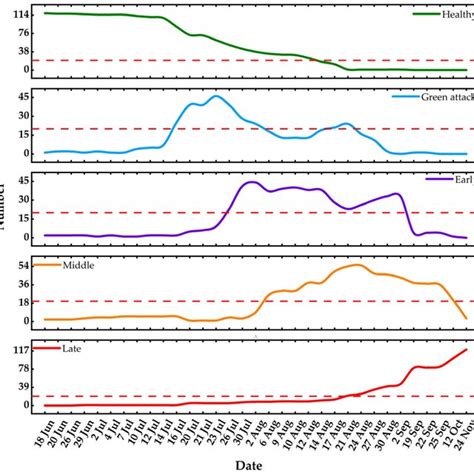 Temporal Variation In Tree Numbers At Different Infection Stages The Download Scientific