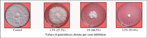Effect Of Different Concentrations Of Chloroform Extract Of A Marmelos