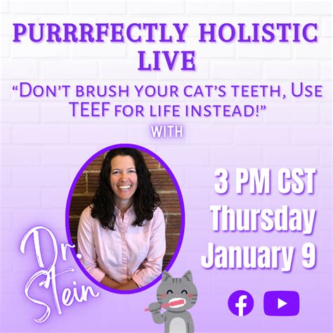Dont Brush Your Cats Teeth Use Teef For Life Purrrfectly Holistic Purrrfectly Holistic
