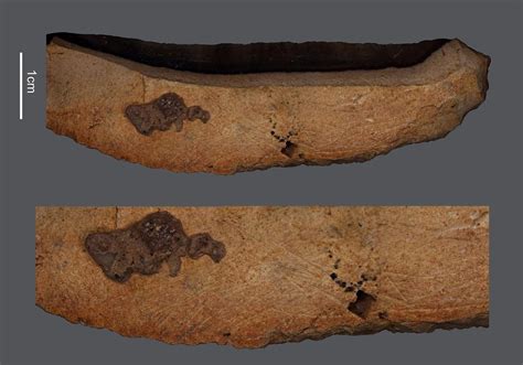 Deliberate Engravings On Middle Paleolithic Stone Tools Reveal Early
