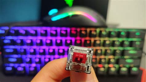 Gateron Optical Red - ASMR/Sound Test (Stock) - YouTube