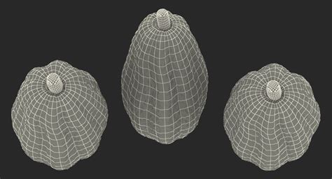 Cocoa Fruits Set 3d Model 39 3ds Blend C4d Fbx Ma Obj Max Free3d