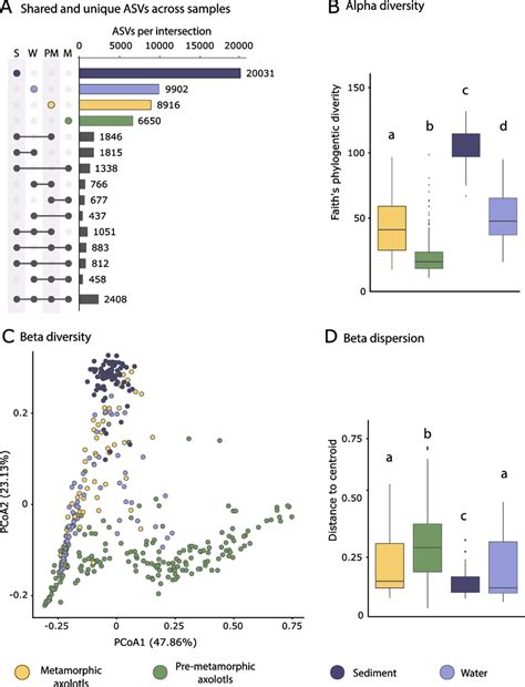 Bacterial Diversity Of A Altamirani Skin And Environmental Samples A