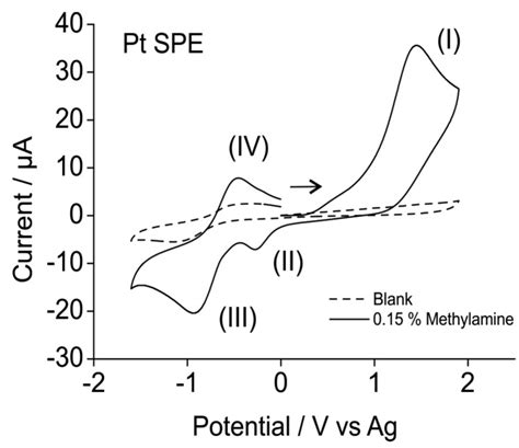 Sensors For Highly Toxic Gases Methylamine And Hydrogen Chloride