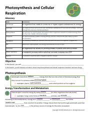 Understanding Photosynthesis and Cellular Respiration Processes | Course Hero