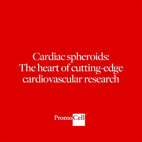 Promocell On Linkedin Cardiovascularresearch