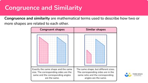 Congruence And Similarity Gcse Maths Steps And Examples