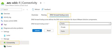 Configure Private And Public Dns Forward Lookup Zones Azure Vmware Solution Microsoft Learn
