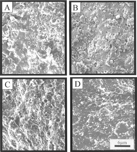 Scanning Electron Micrographs Of Freeze Fractured Control Cheese A And