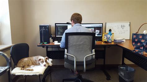 New Things With Gliffen Designs Gliffen Digital Agency