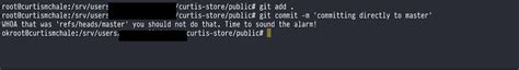 Automation For The Laziest WordPress Developer Git Hooks Examples SpinupWP