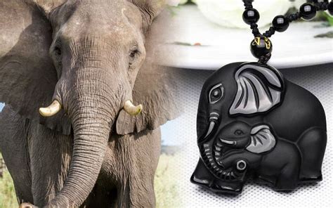 Elephant Symbol In Jewelry What Is The Meaning Of The Elephant