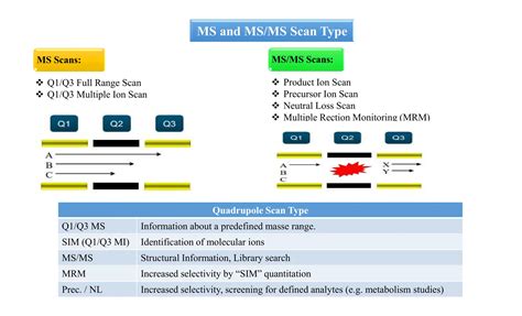 Lcms Type Of Scan Pdf