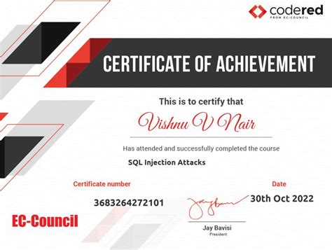 vishnu v nair on linkedin sql database sqlmap jsql