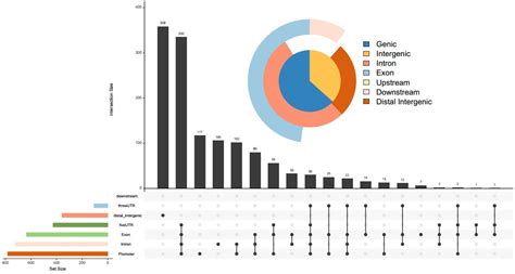 Downstream Proportions Are Not Identical In Vennpie And Upsetplot Results