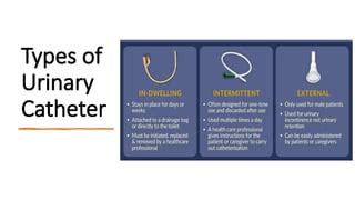 Urinary Catheterfgr56y75turtyryyrtyrtytytry Pptx
